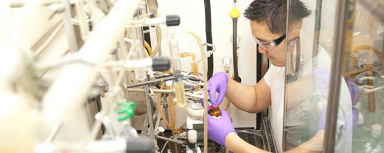 Home | The Brückner Research Group